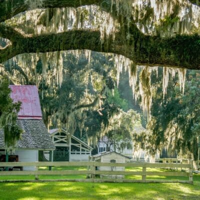 Home - Burt Jones for GA